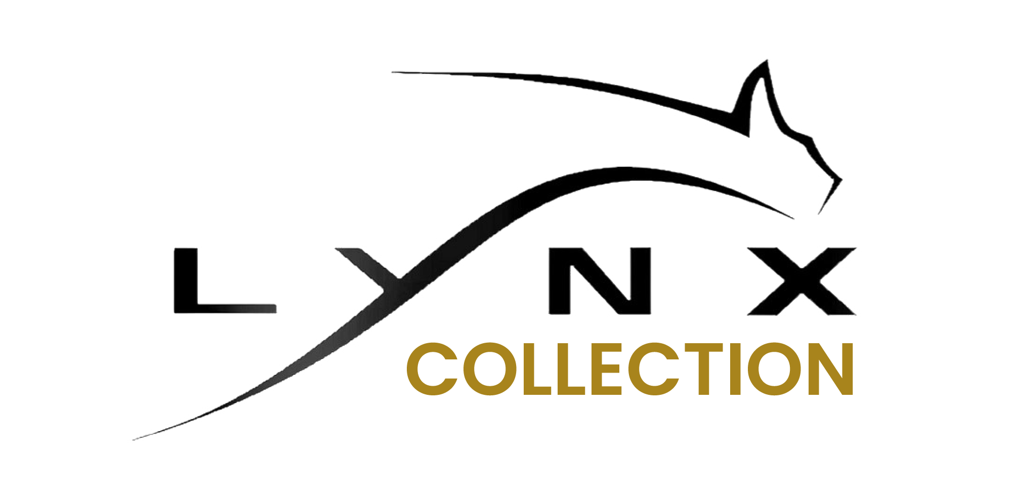 LYNX Collection | Qualität in Südafrika – Eine weitere WordPress-Website